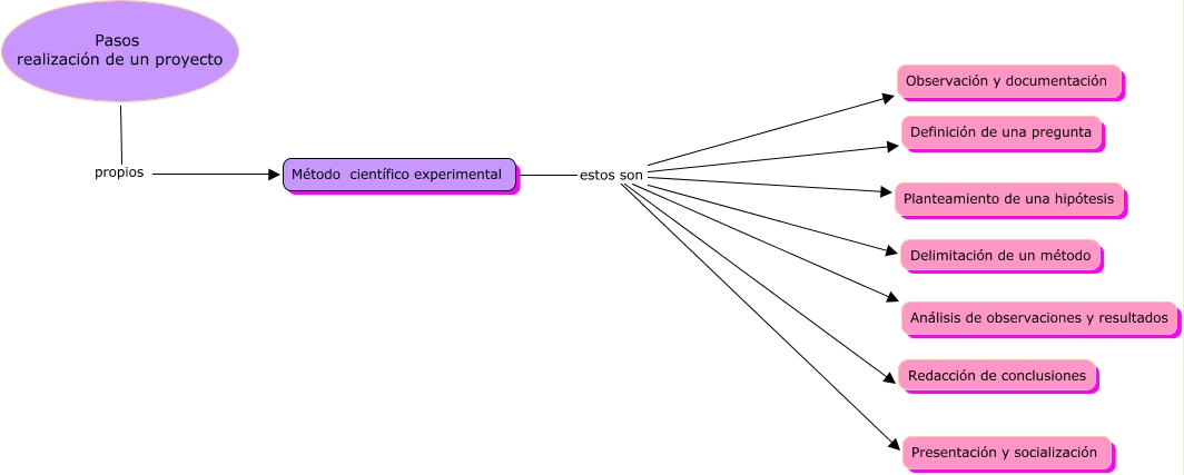 pasos realización de proyecto